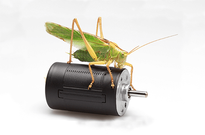 High Performance Inner Rotor BLDC - MUHRAK محراك